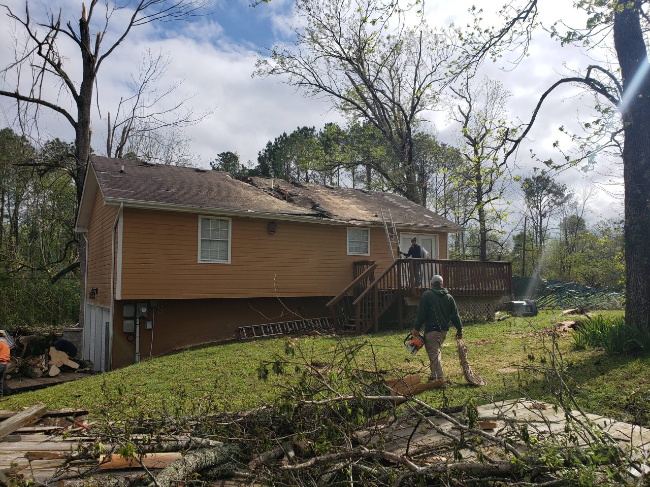 Home - All American Tree Service