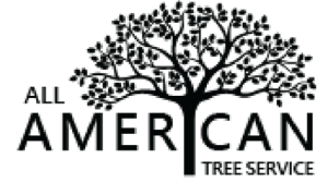 Home - All American Tree Service